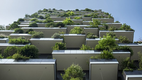 Sustainability 101: Terms, words and definitions you need to know