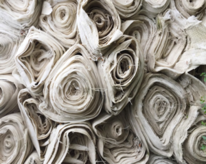 Is Bamboo Sustainable? Best Eco-Friendly Alternative to Plastic ...