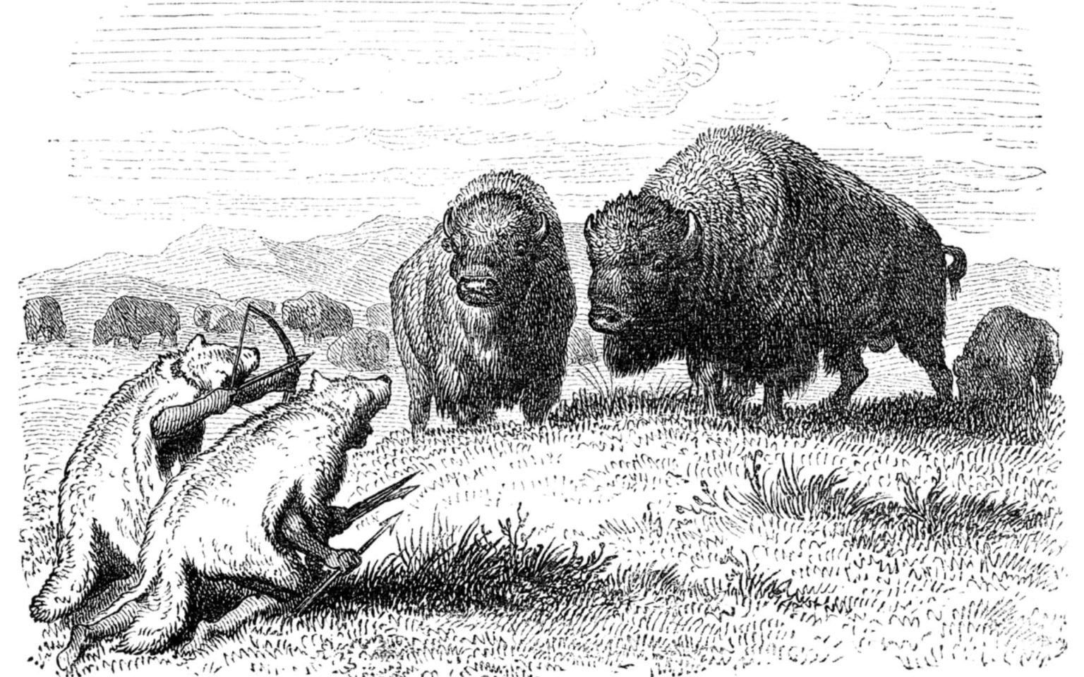 How Indigenous Hunting Is the Key to Forest Sustainability
