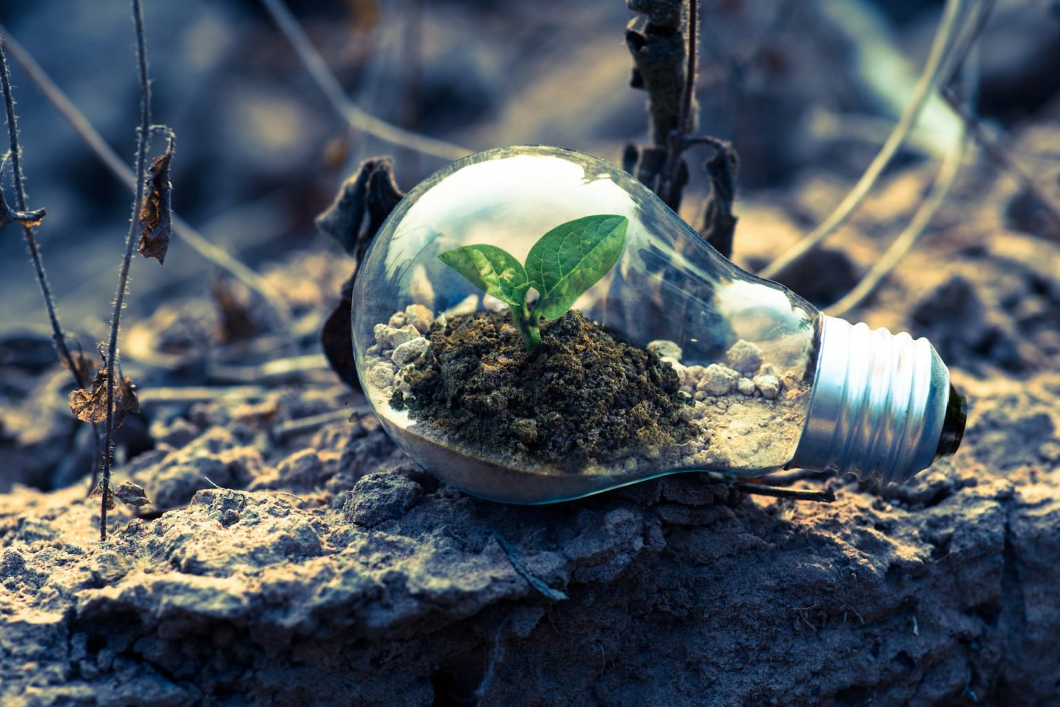 Top 10 Green Technology Innovations — Sustainable Review