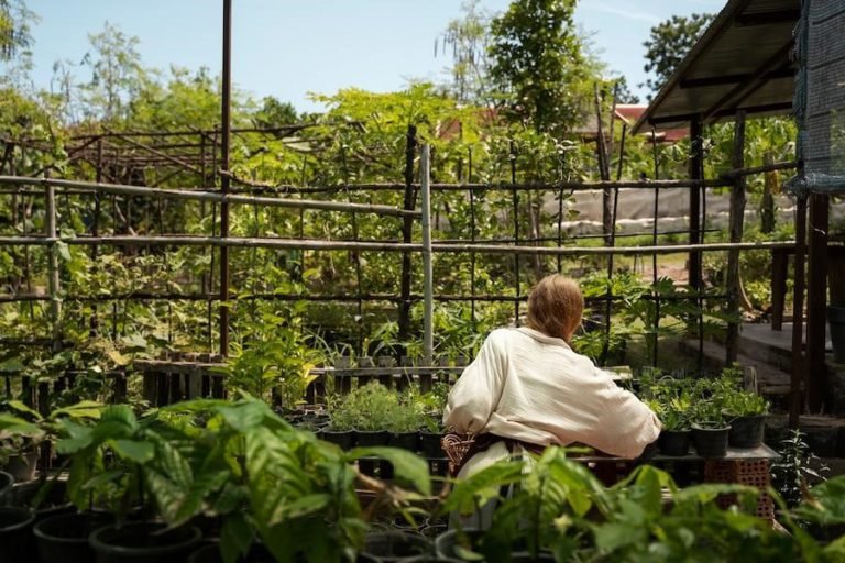 Urban Farming and Sustainability — Sustainable Review