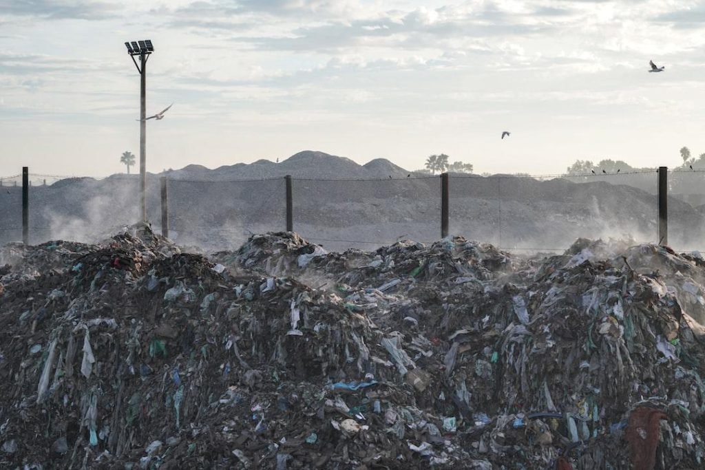 Top 10 Businesses Combatting Litter & Landfill — Sustainable Review