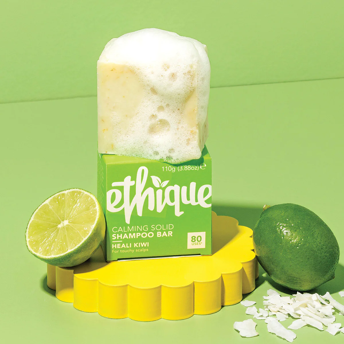 Top 10 Plastic Free Shampoo Brands for Eco-Friendly Haircare ...
