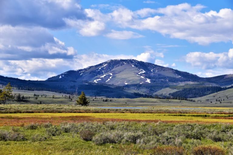 The Greenest States in the United States — Sustainable Review