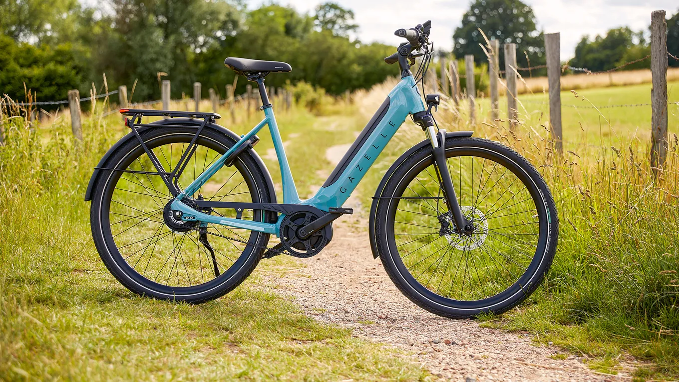10 Eco Friendly Bikes to Pedal Towards a Sustainable and Healthy Daily ...